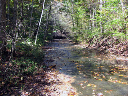Beaman Park Trails - Henry Hollow Loop Trail